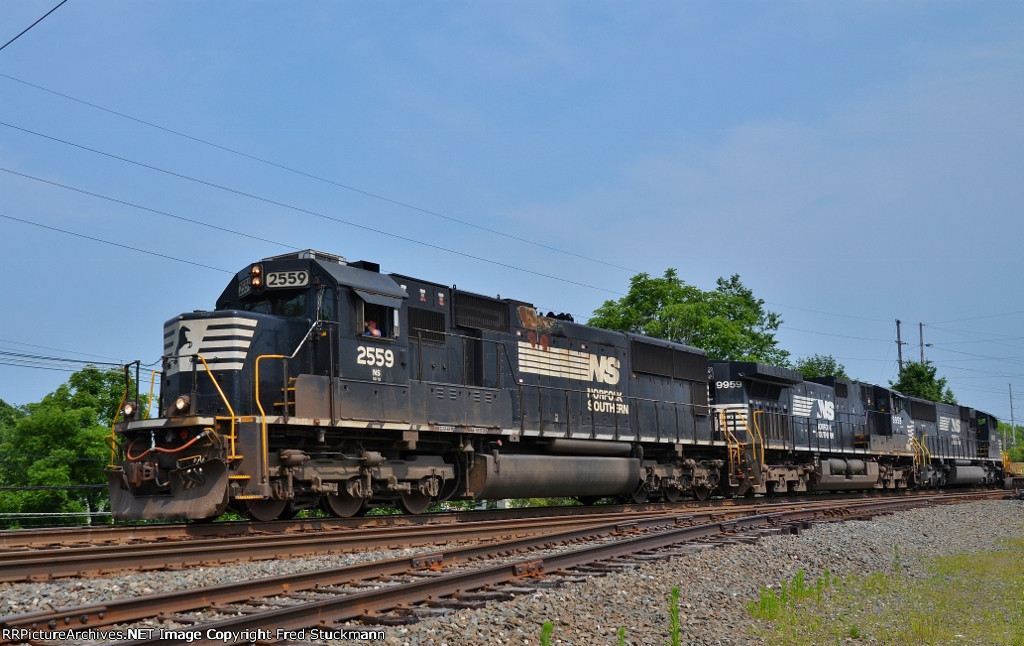 NS 2559